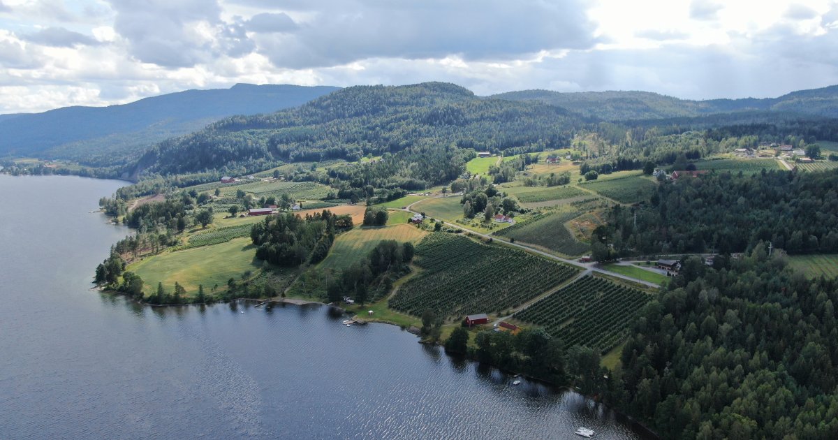 Valgprogram for Øvre Eiker Senterparti - Senterpartiet