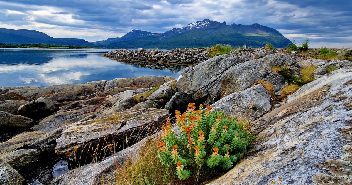 Valgprogram Steigen Senterparti 2023-2027 - Senterpartiet