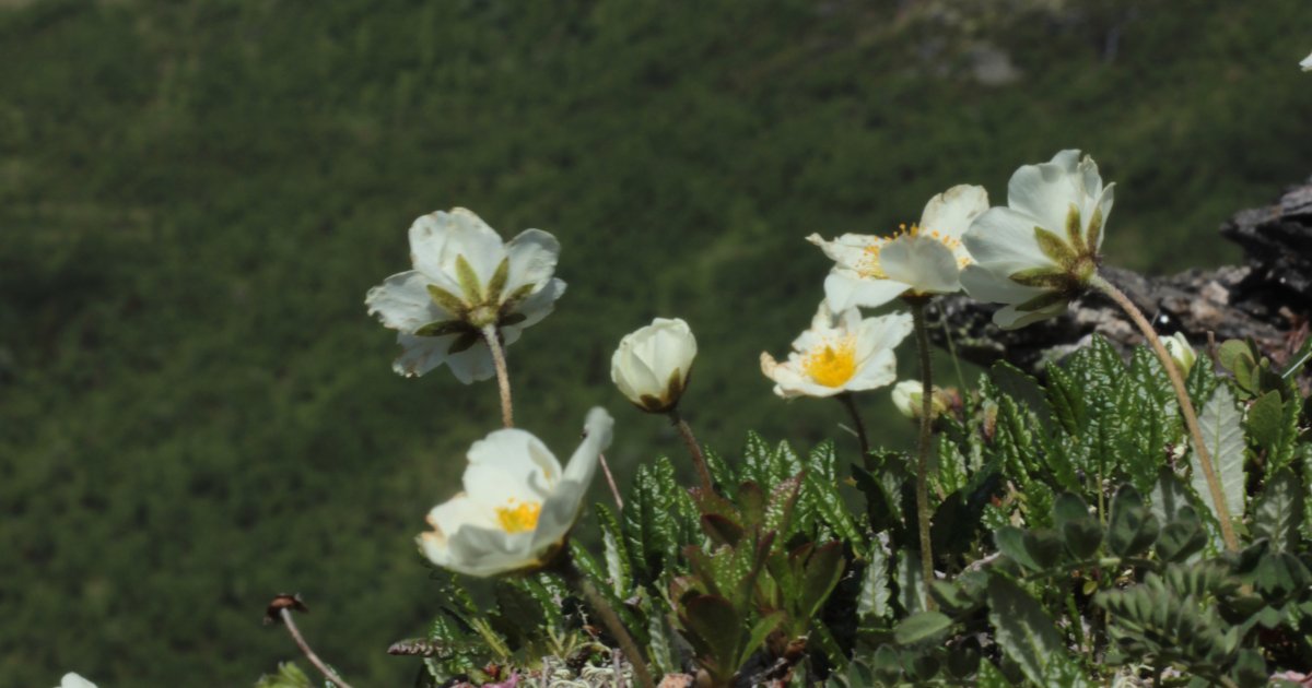 Valgprogram 2023 - Senterpartiet